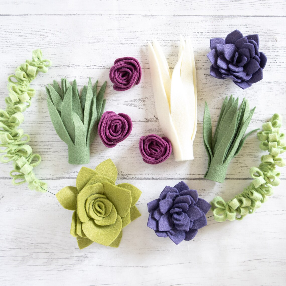 Succulent PATTERN Cutting Template 5 No-sew Felt or Paper - Etsy