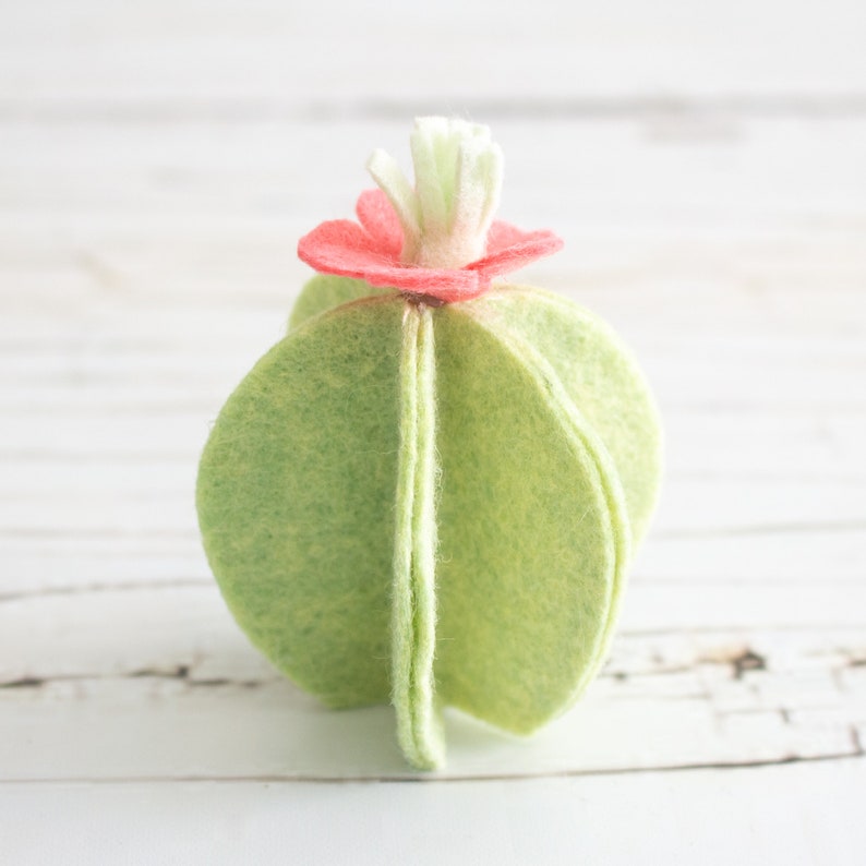 Cacti Cactus PATTERN Cutting Template 5 No-sew Felt or | Etsy