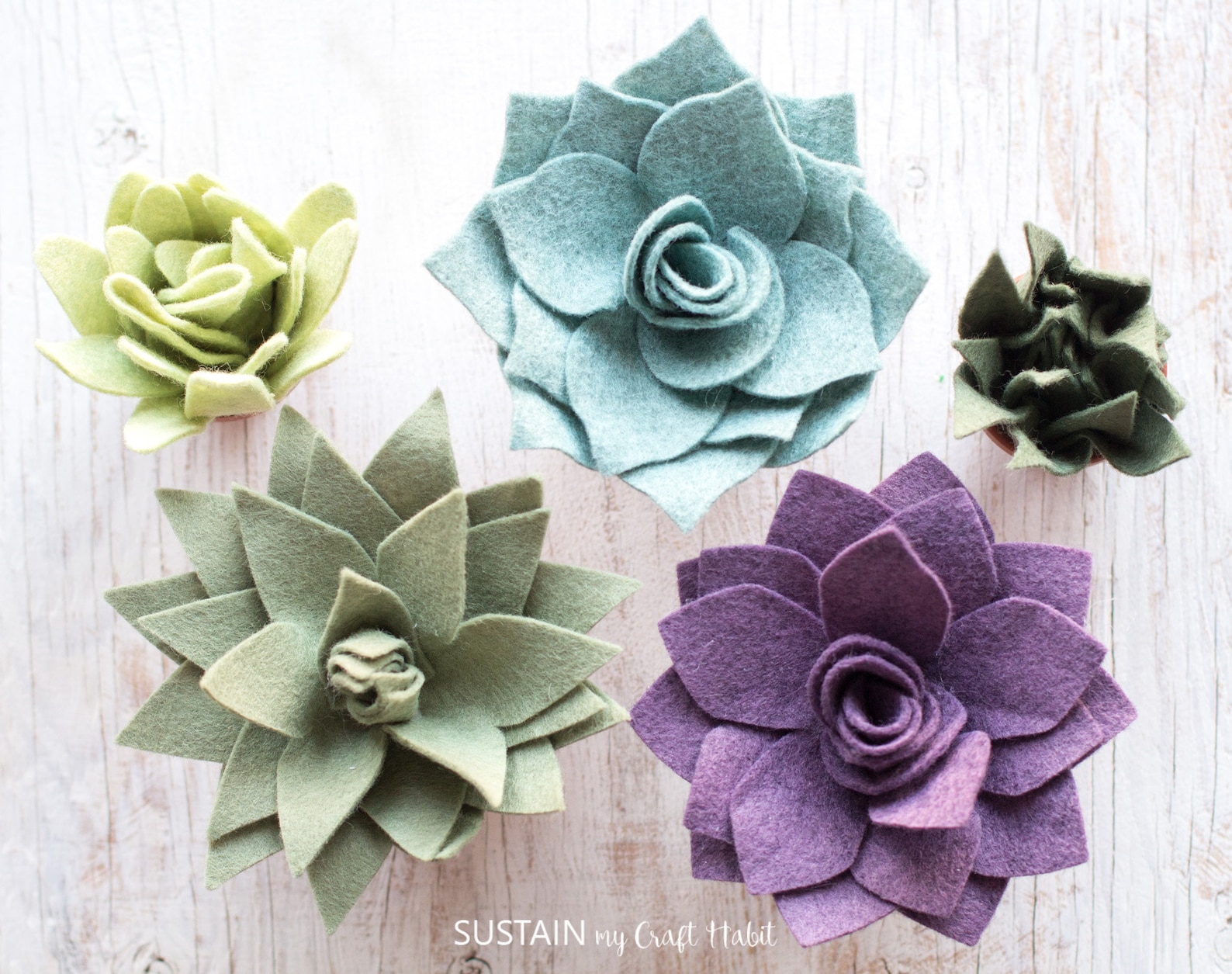 Succulent PATTERN Cutting Template; 5 No-sew Felt or Paper Succulents ...