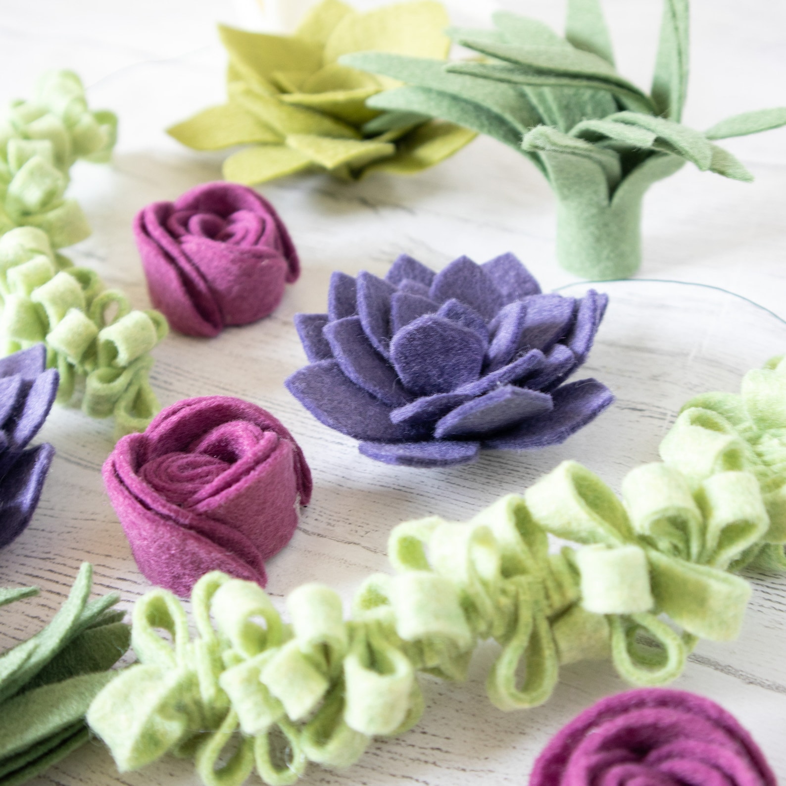 Succulent PATTERN Cutting Template 5 No-sew Felt or Paper | Etsy