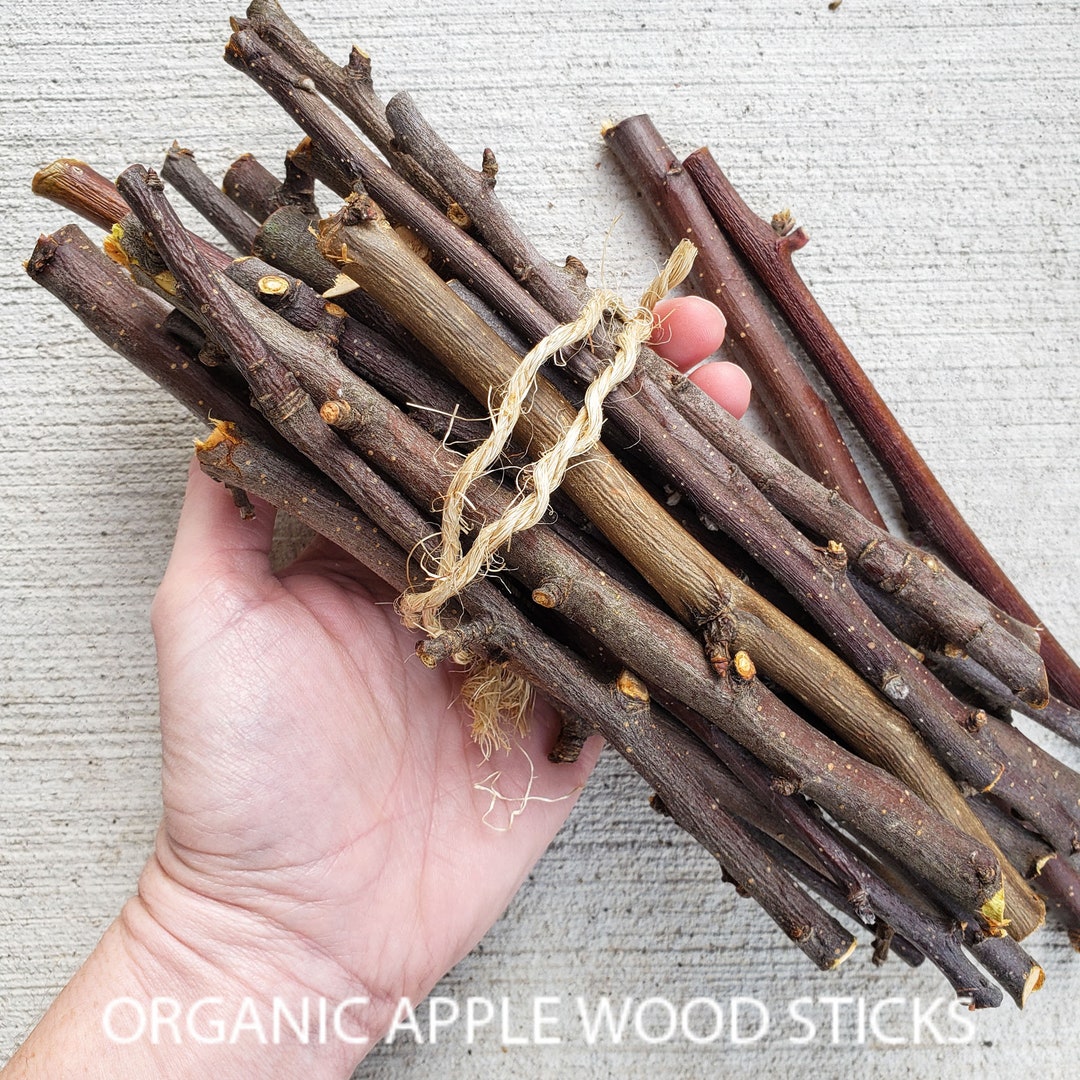 Organic Wood Sticks, 50pc Bundle, Apple Chew Sticks for Small Pets ...