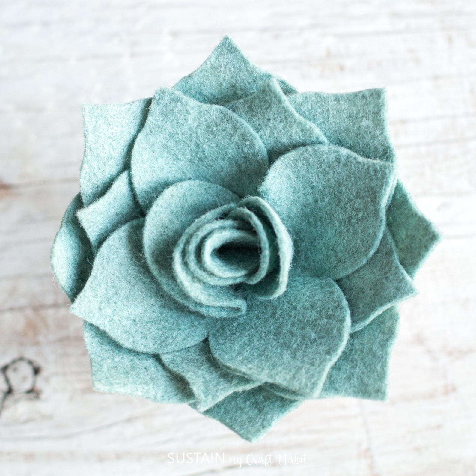 Succulent PATTERN Cutting Template 5 No-sew Felt or Paper - Etsy