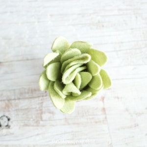 Succulent PATTERN Cutting Template; 5 No-sew Felt or Paper Succulents ...