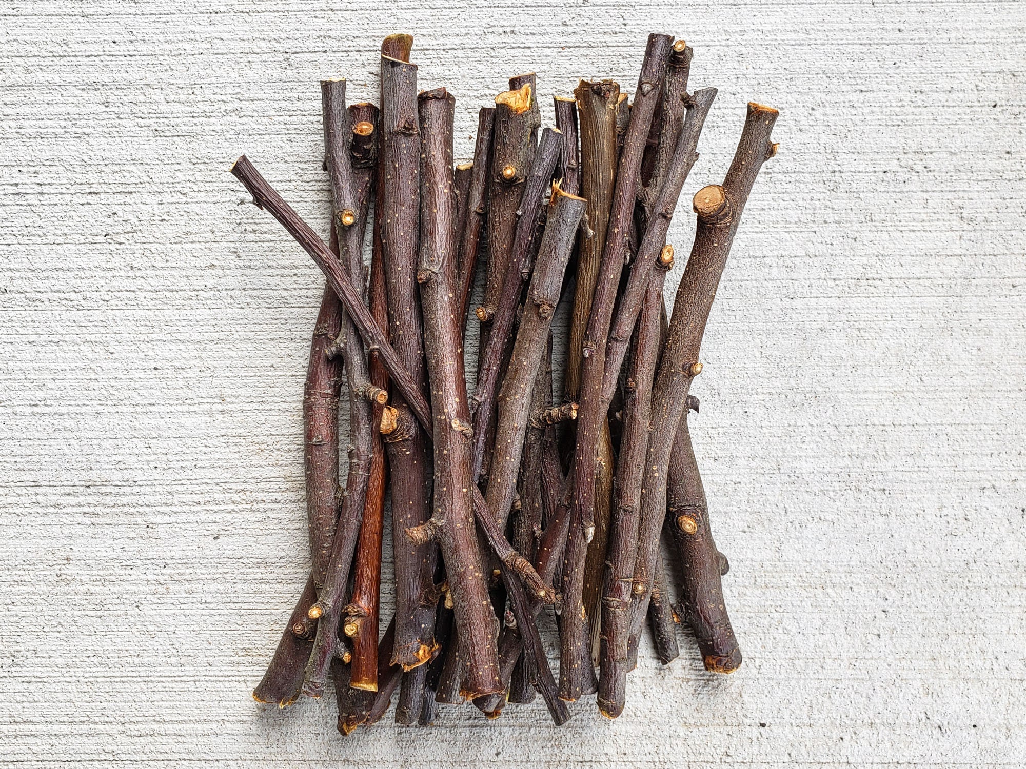 Organic Wood Sticks 50pc Bundle Apple Chew Sticks for Small - Etsy Canada