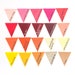 Custom Color Bunting, 5 Inch Flags, Banner, Garland, Flags, Multi Color ...
