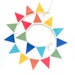Custom Color Bunting, 5 Inch Flags, Banner, Garland, Flags, Multi Color ...