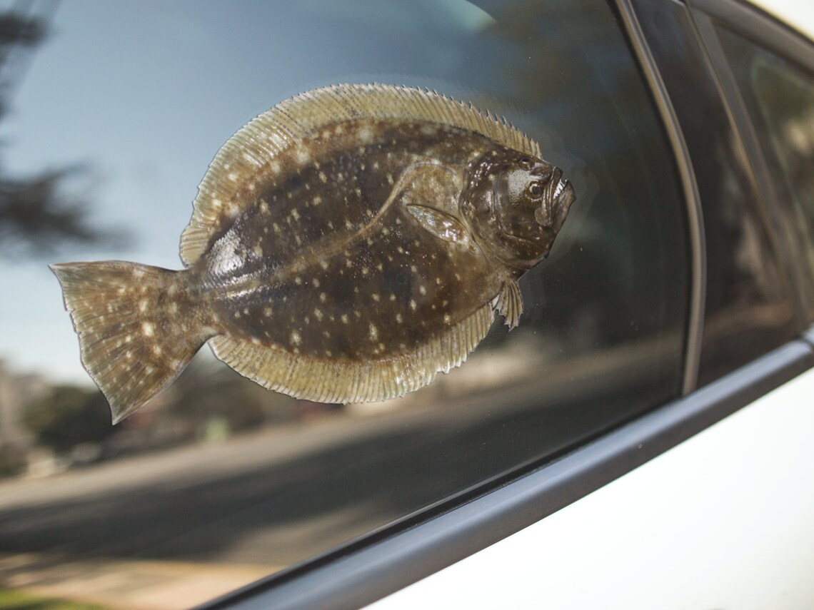 Flounder, Flounder Decal, Flouder Sticker - Etsy