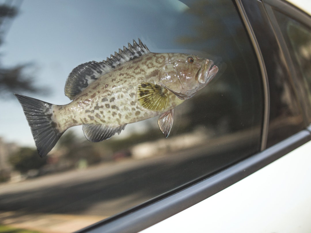 Gag Grouper, Gag Grouper Decal, Gag Grouper Sticker - Etsy