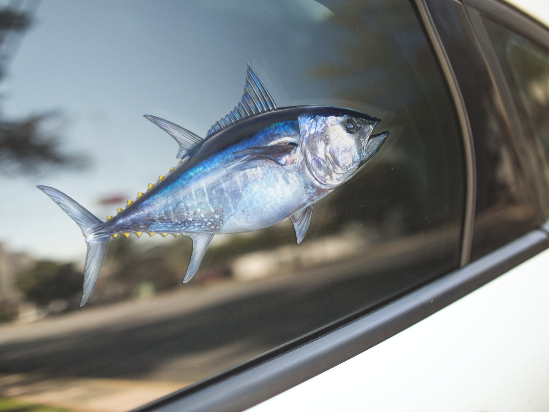Bluefin Tuna, Bluefin Tuna Decal, Bluefin Tuna Sticker - Etsy