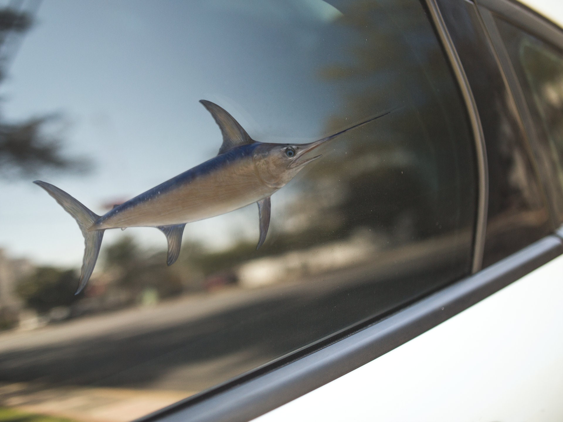 Swordfish, Swordfish Decal, Swordfish Decal, Swordfish Sticker - Etsy