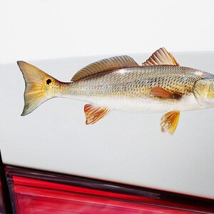 Redfish Decal, Redfish Sticker, Redfish, Red Drum - Etsy