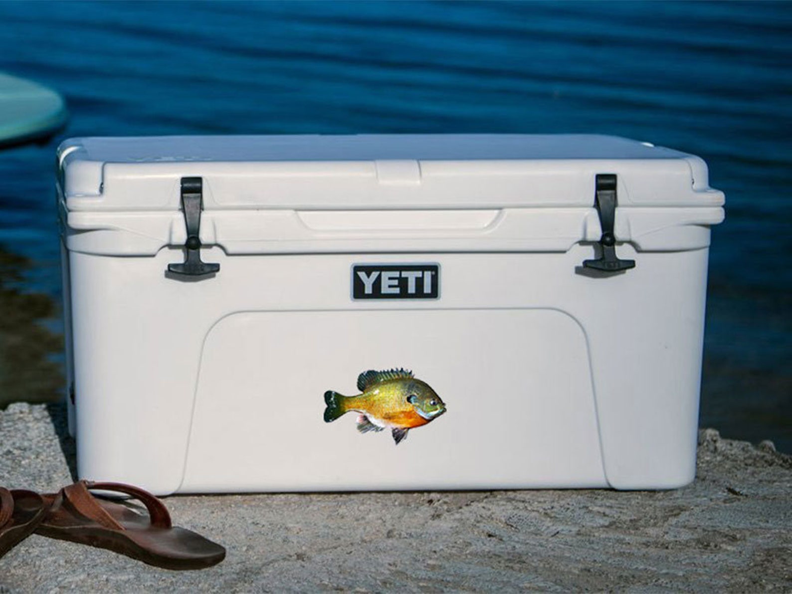 Bluegill, Bluegill Decal, Bluegill Sticker, Panfish - Etsy