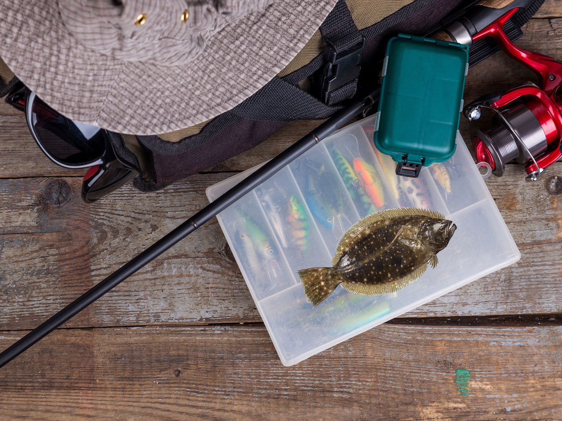 Flounder, Flounder Decal, Flouder Sticker - Etsy