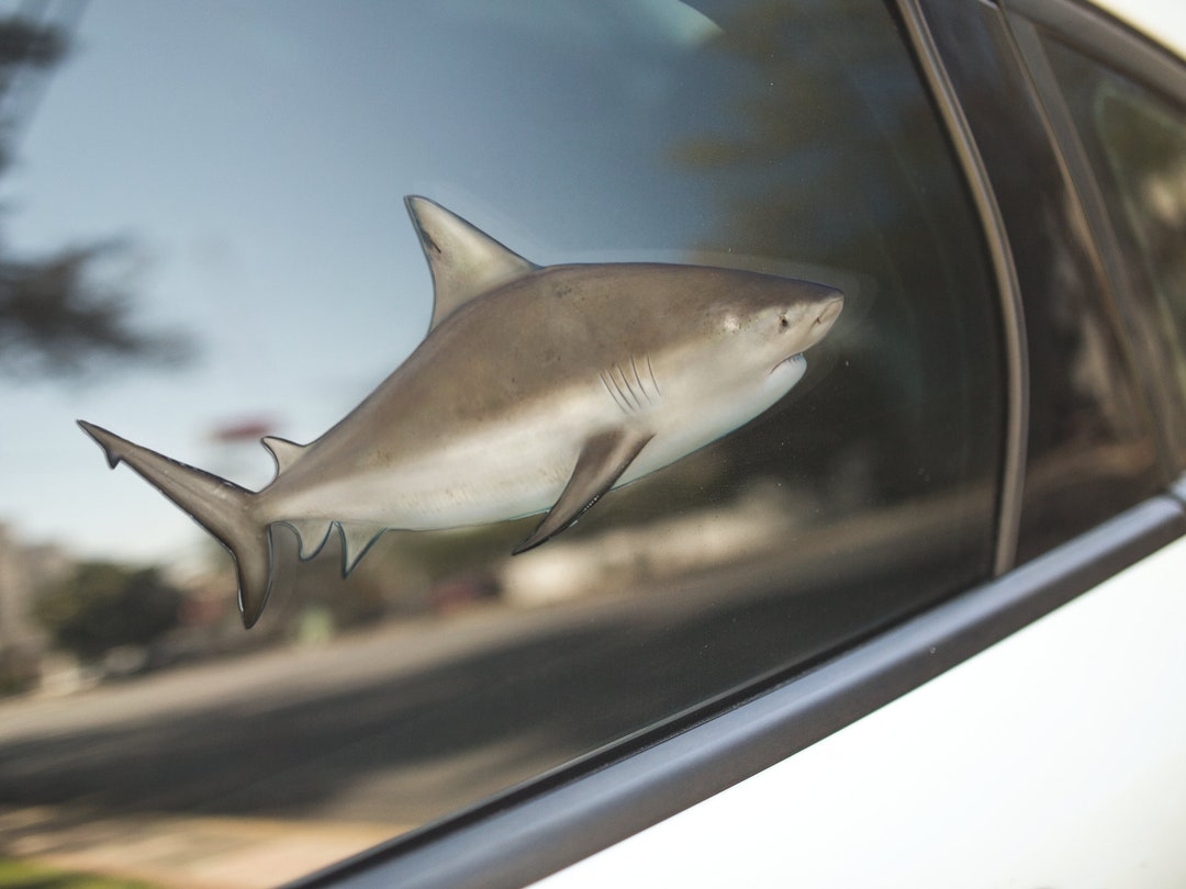 Bullshark, Bullshark Decal, Bullshark Sticker - Etsy
