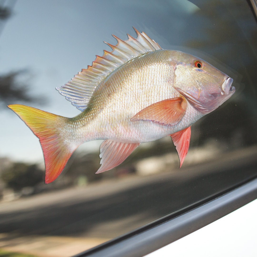 Mutton Snapper, Mutton Snapper Decal, Mutton Snapper Sticker - Etsy