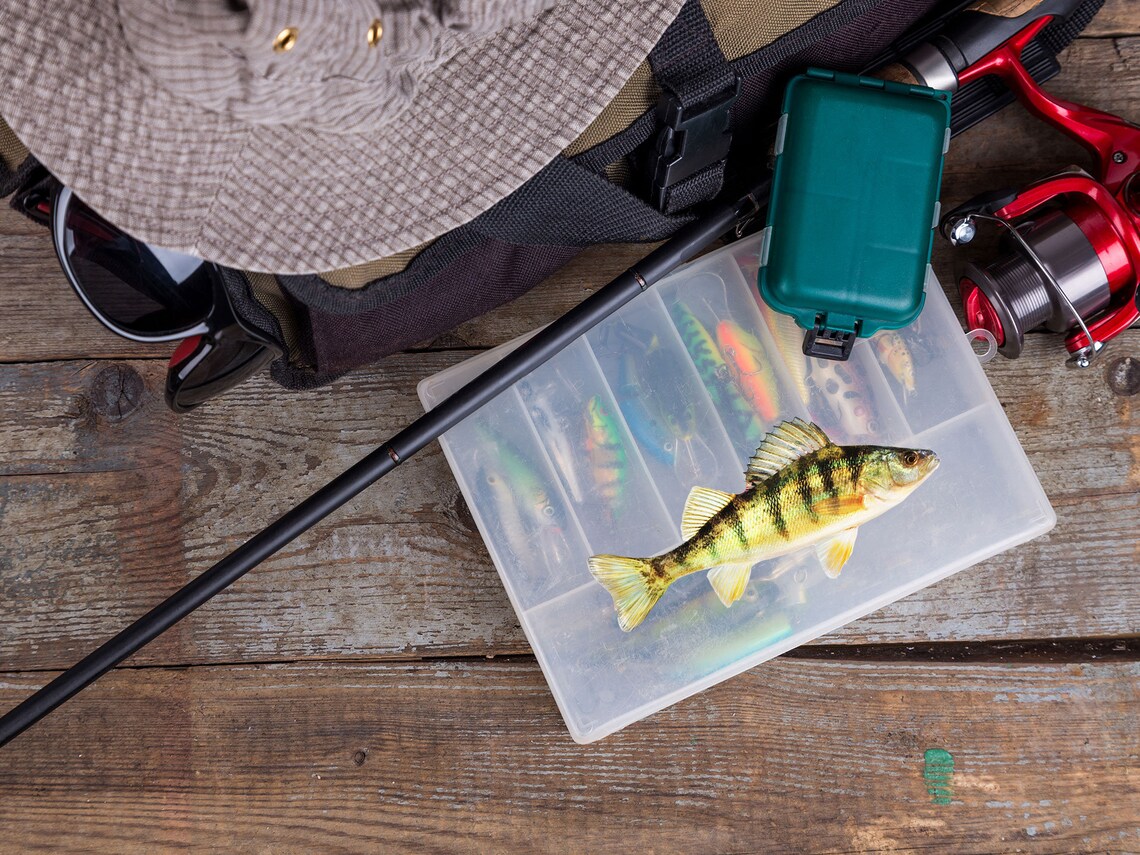 Yellow Perch Decal, Yellow Perch Sticker, Yellow Perch - Etsy