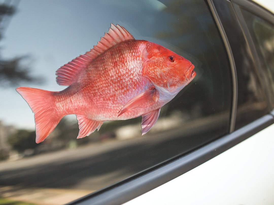 Red Snapper, Red Snapper Decal, Red Snapper Sticker - Etsy