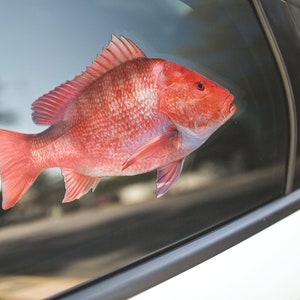 Red Snapper, Red Snapper Decal, Red Snapper Sticker - Etsy