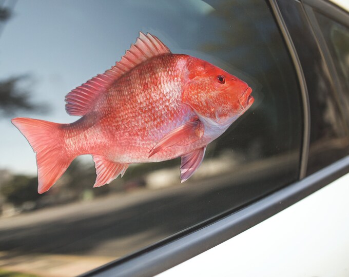 Red Snapper, Red Snapper Decal, Red Snapper Sticker - Etsy