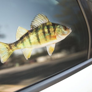Yellow Perch Decal, Yellow Perch Sticker, Yellow Perch - Etsy
