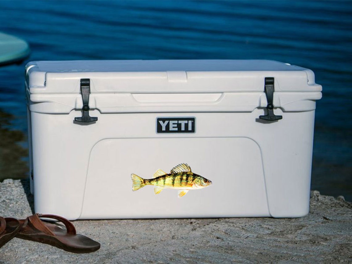 Yellow Perch Decal, Yellow Perch Sticker, Yellow Perch - Etsy