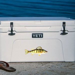 Yellow Perch Decal, Yellow Perch Sticker, Yellow Perch - Etsy