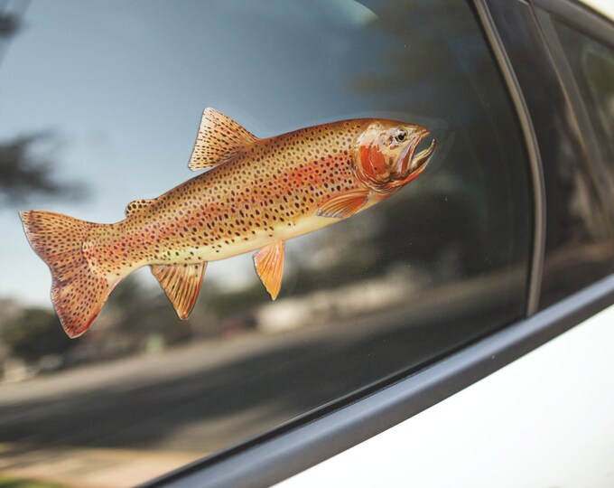 Cutthroat Trout, Cutthroat Trout Decal, Trout, Trout Decal, Cutthroat ...