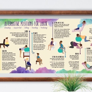 Alternative Labor Positions Poster, Childbirth Education, Doula ...