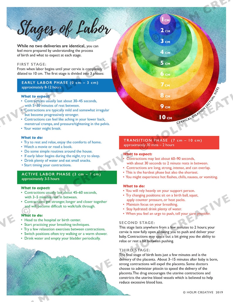 Stages of Labor and Cervical Dilation Birth Education Handout - Etsy