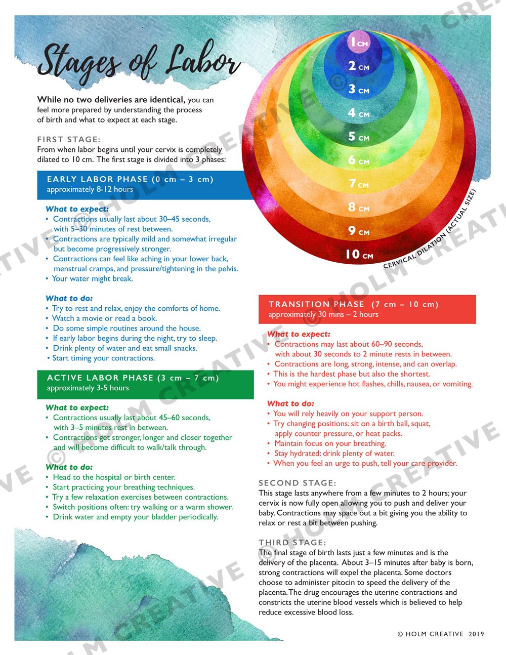 Stages of Labor and Cervical Dilation, Birth Education Handout ...