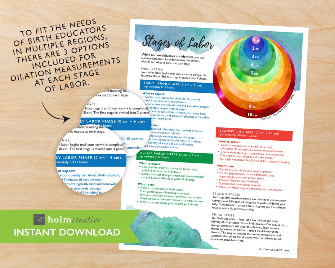 Stages of Labor and Cervical Dilation, Birth Education Handout ...