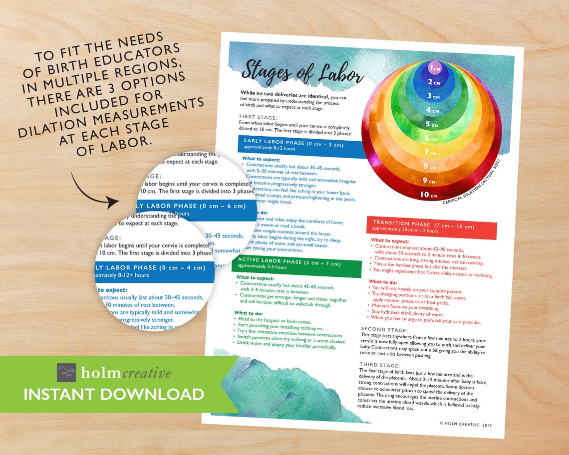 Stages of Labor and Cervical Dilation, Birth Education Handout ...