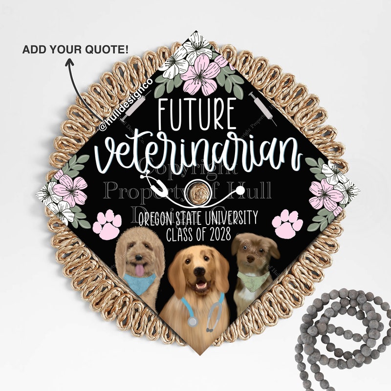 Vet Cake Topper - Etsy
