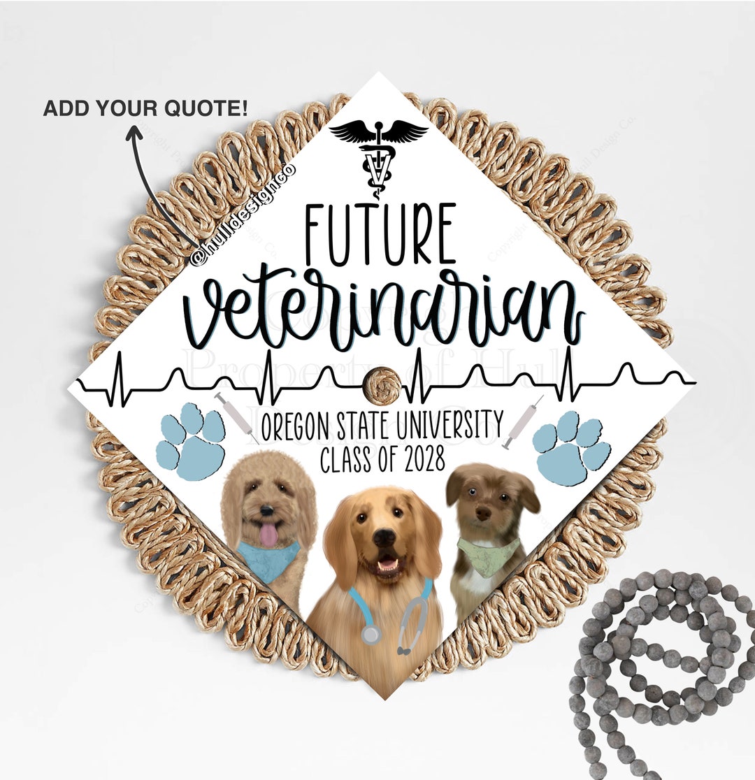 Custom "vet School Bound" Graduation Cap Topper, Vet Tech Graduation ...