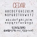 Cedar Font Digital Download Font Handwriting Font - Etsy Canada
