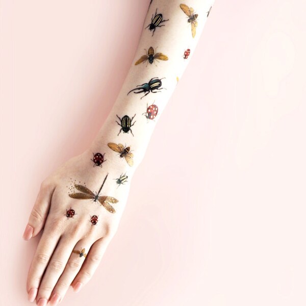 Bluey Jeremy Garden Gnome Sticker Decal - Etsy Canada