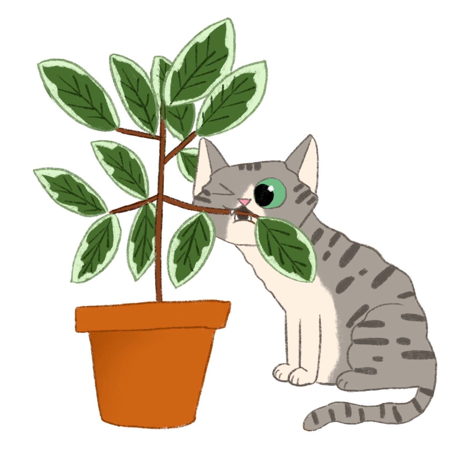 Cat Biting Plant, Art Print - Etsy