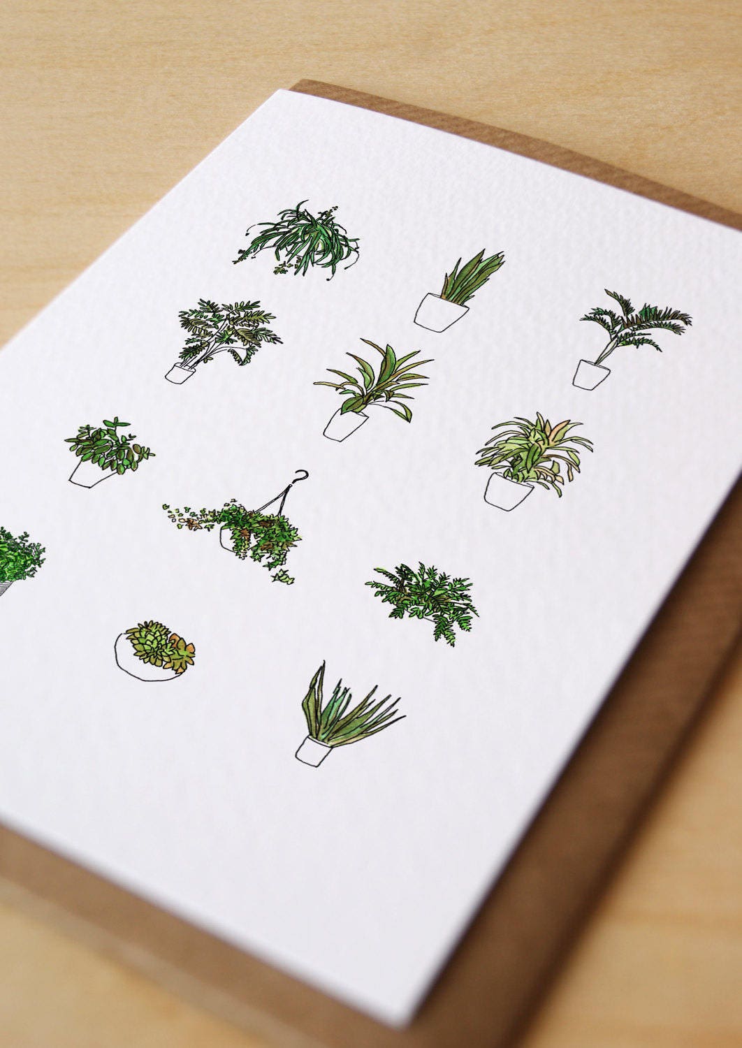 12 House Plants Card - Etsy
