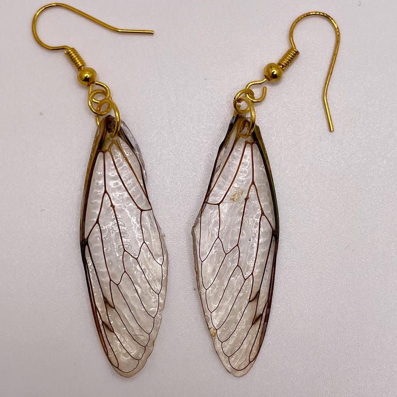 Cicada Wing Earrings - Etsy