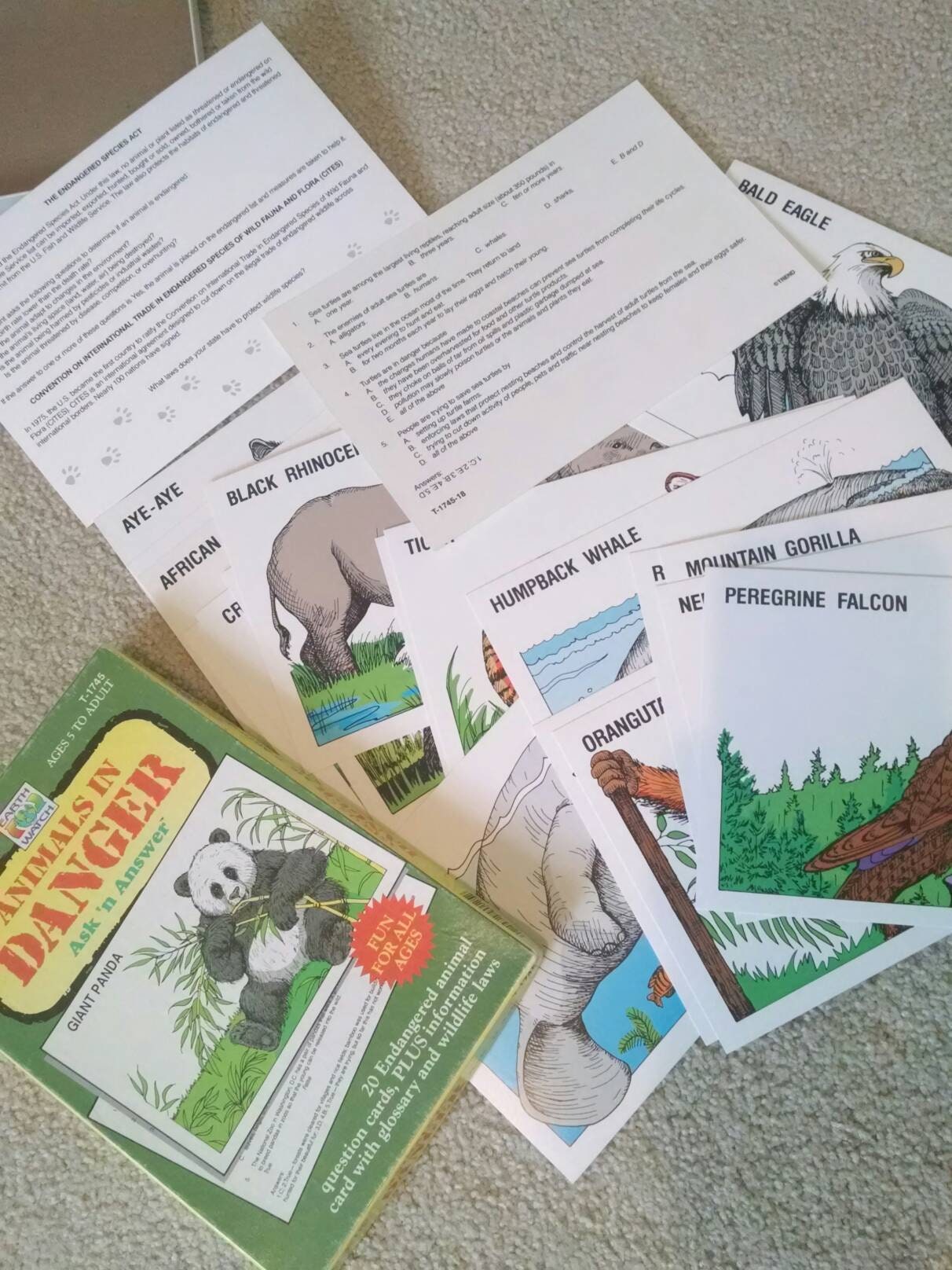 Card Set Endangered Species Questions and Information Teachers | Etsy