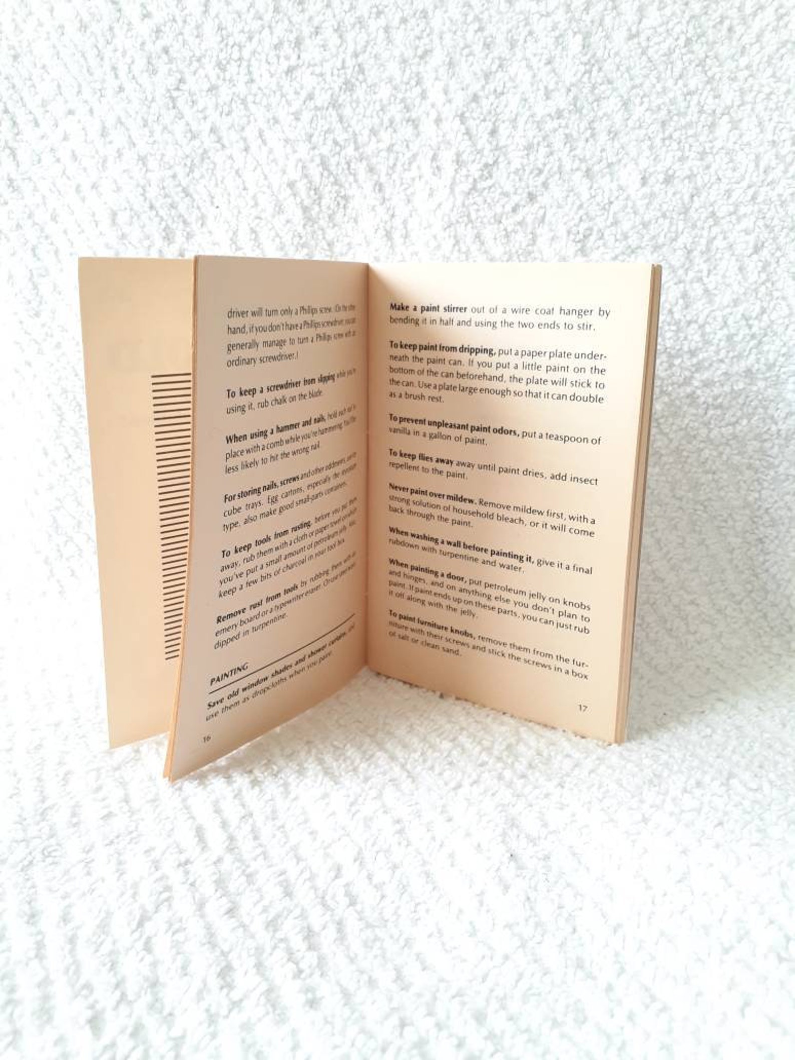 Delphines Household Hints plus de 350 raccourcis et solutions - Etsy France