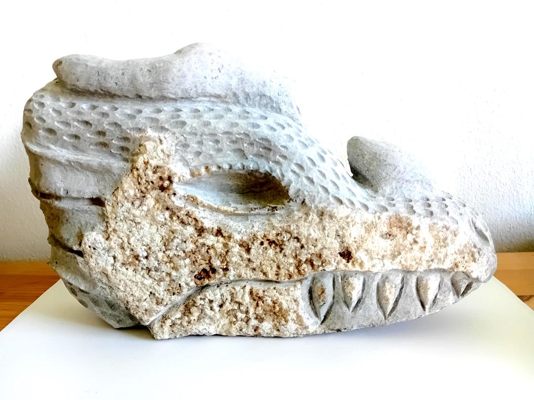 Huge Sulfur Fossil Stone Flat Dragon Skull Unique One of a Kind ...