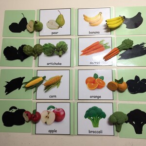 Fruit and Vegetables Safari Toob Montessori 3-part Cards for Safari ...