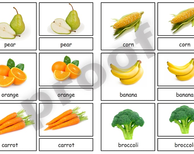 Fruit and Vegetables Safari Toob Montessori 3-part Cards for Safari ...