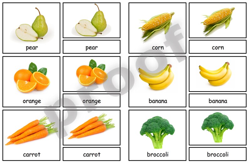 Fruit and Vegetables Safari Toob Montessori 3-part Cards for Safari ...