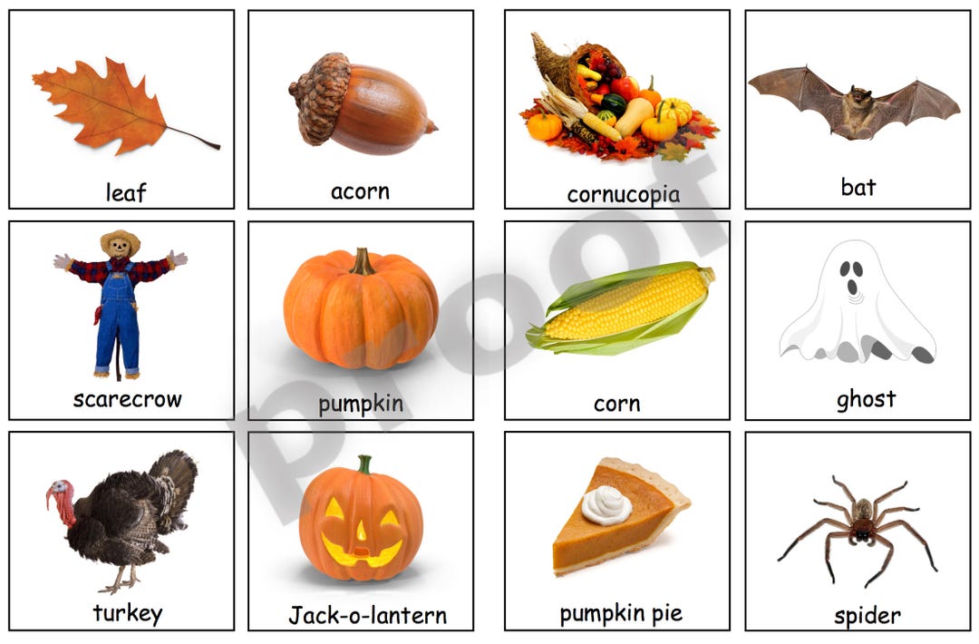 Fall/autumn Vocabulary Cards and Silhouette Match--montessori Autumn ...