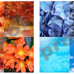 Montessori Colors Sorting Activity--primary and Secondary Colors--color ...