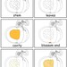 Parts of a Pumpkin PDF Diagram, 3-part Cards and Coloring Booklet ...