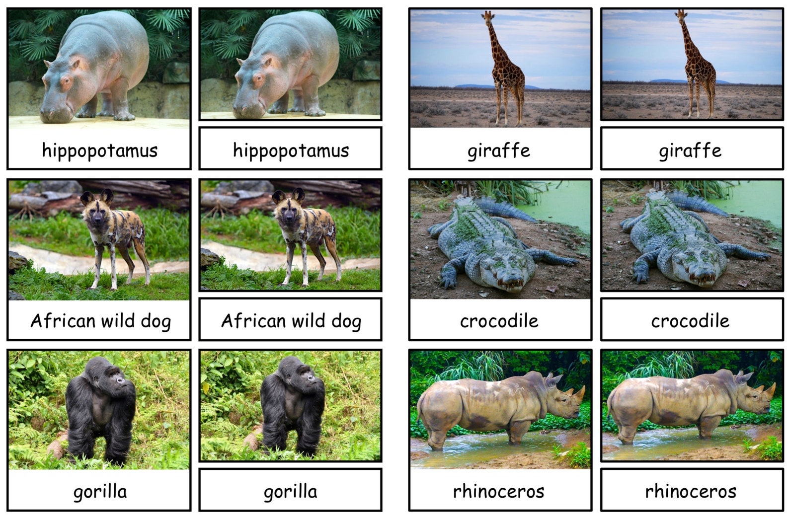 Animals of the Seven Continents Montessori 3-part Cards PDF ...