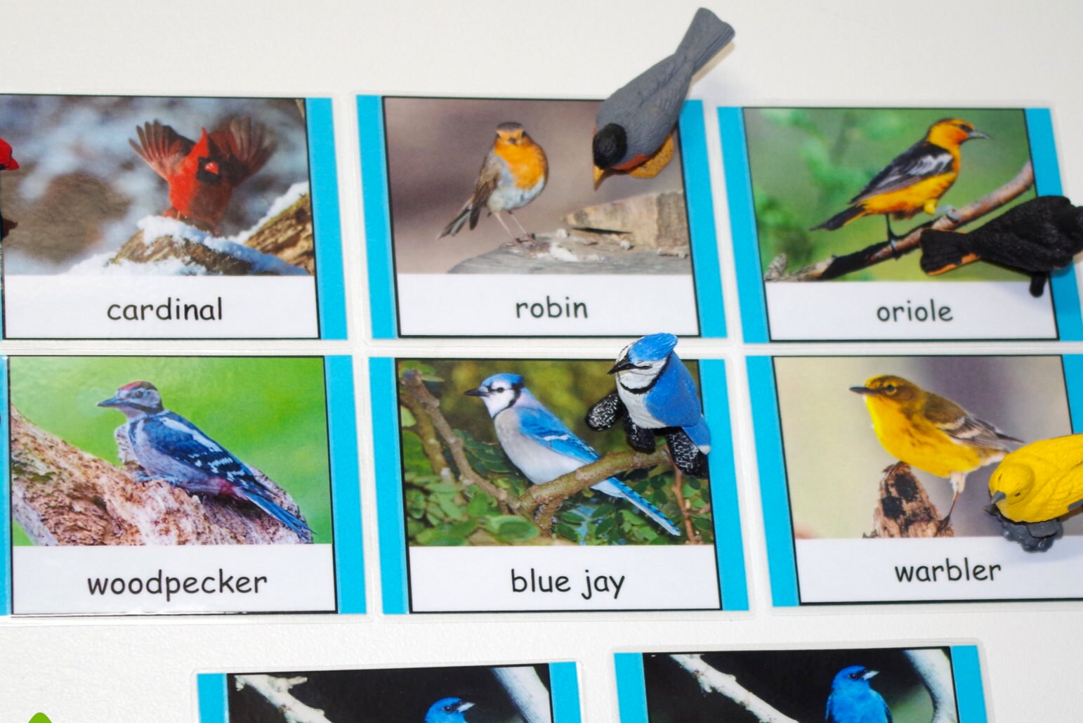 Backyard Birds Safari Toob -- Montessori Matching Activity - Etsy